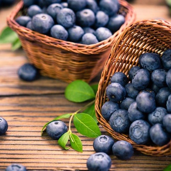 Blueberry Dark Balsamic Vinegar | Gettysburg Olive Oil Co.